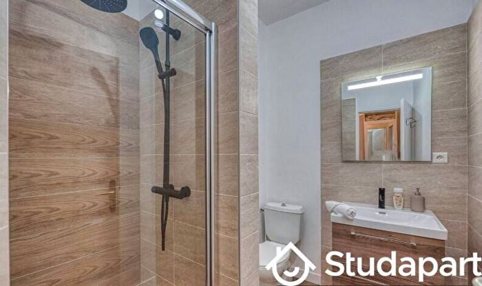 Appartement à louer - Ile Verte, Grenoble - 1 pièce