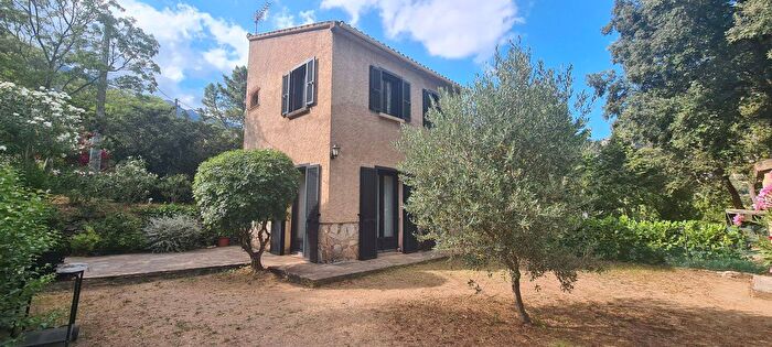 Appartement à louer - Corte - 2 pièces - 1 chambre