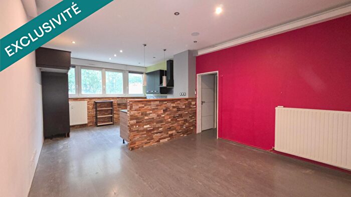 Thionville, Briquerie : Appartement 3 pièces à vendre