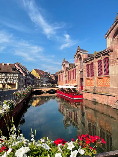 Appartement à louer - Colmar - 2 pièces - 1 chambre