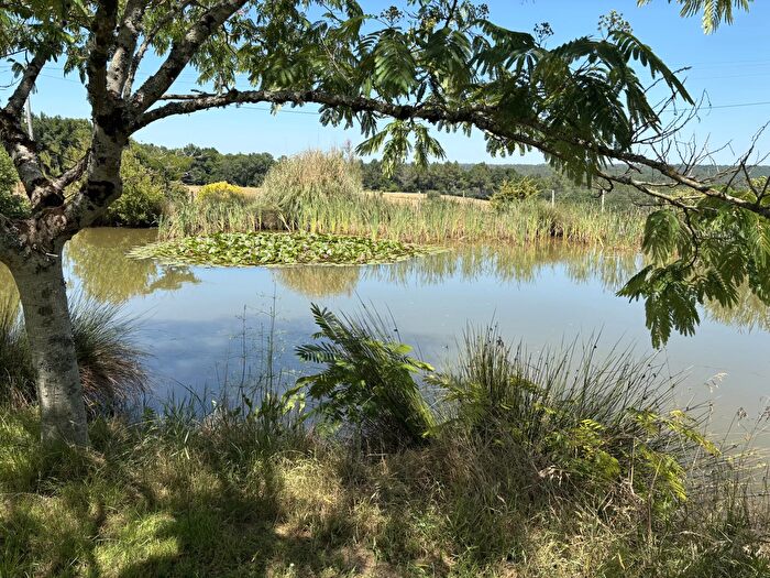 Maison à vendre - Saint-André-de-Double - 7 pièces - 5 chambres