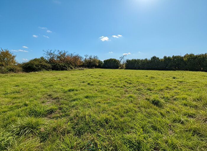 Maison à vendre - Amboise, Les Châtelliers, La Malonnière, Château-Gaillard - 6 pièces - 4 chambres