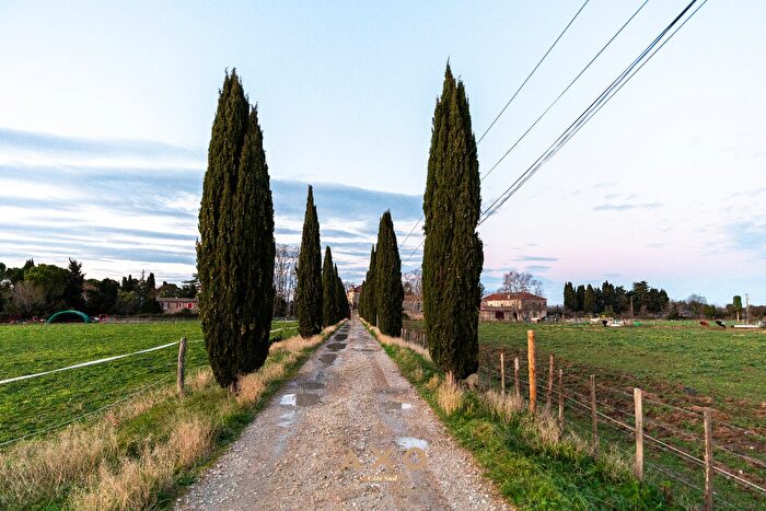 Maison à vendre - Aimargues - 6 pièces - 4 chambres