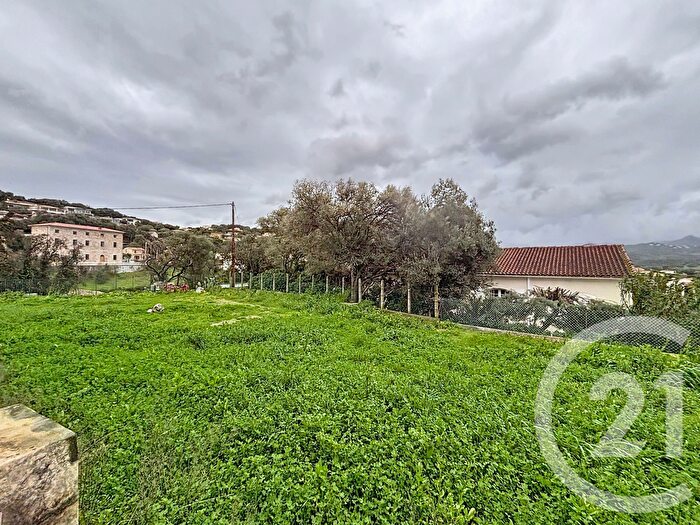 Maison à vendre - Bastelicaccia - 6 pièces - 5 chambres