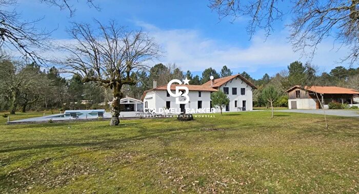 Maison à vendre - Sanguinet - 6 pièces - 4 chambres