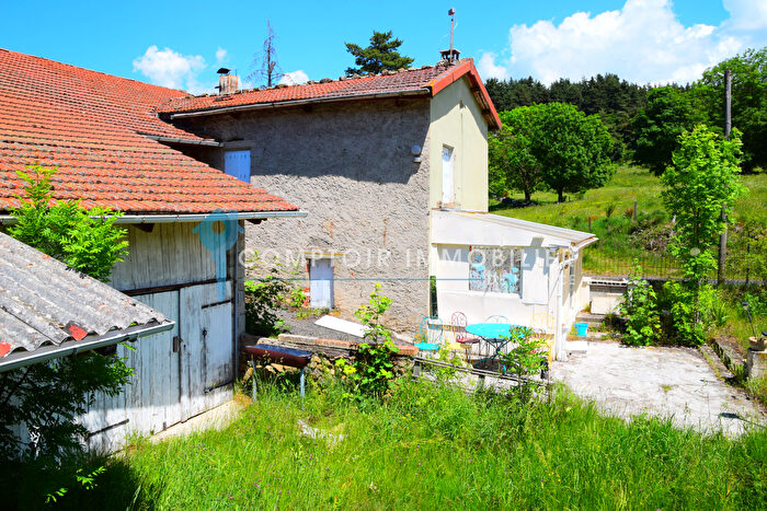 Vielprat - Maison 11 pièces à vendre