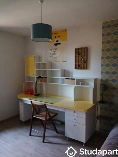 Francheville le Haut-Bruissin - Appartement 1 pièce à louer
