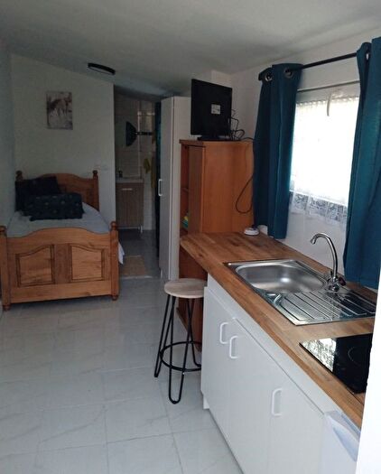 Appartement 1 pièce à louer - Cadaujac