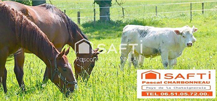 Maison à vendre - Réaumur - 5 pièces - 4 chambres