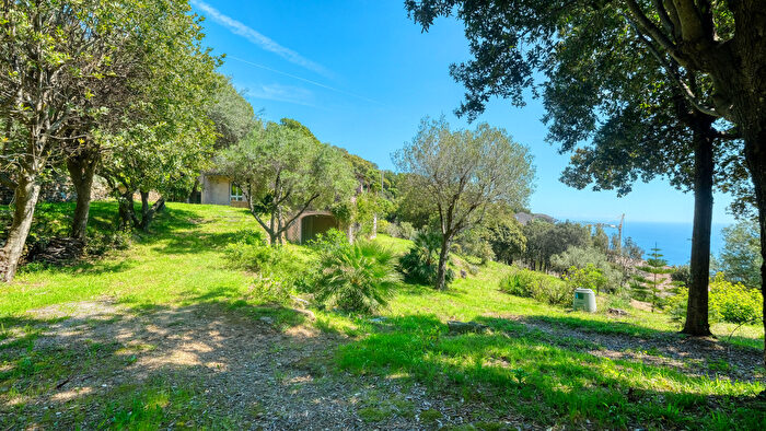 Maison à vendre - Bastia, Centre-ville, Cardo - 4 pièces - 3 chambres