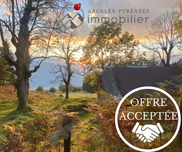 Maison à vendre - Vier-Bordes - 2 pièces - 1 chambre