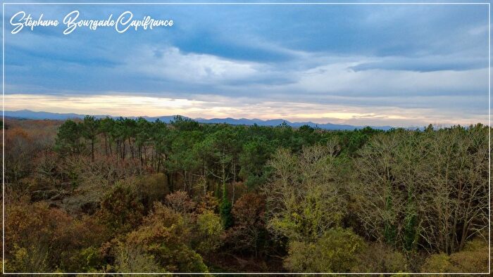 Maison à vendre - Saint-Martin-de-Hinx - 10 pièces