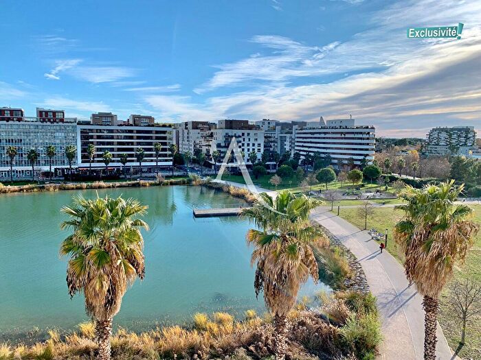 Appartement à louer - Port Marianne, Richter, Montpellier - 3 pièces - 2 chambres