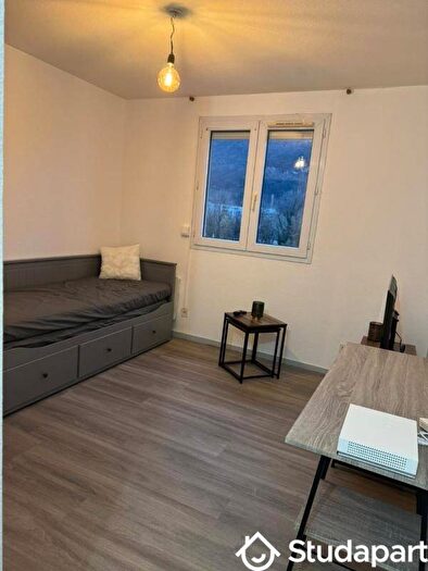 Appartement à louer - Berriat-Ampere, Grenoble - 1 pièce - 1 chambre