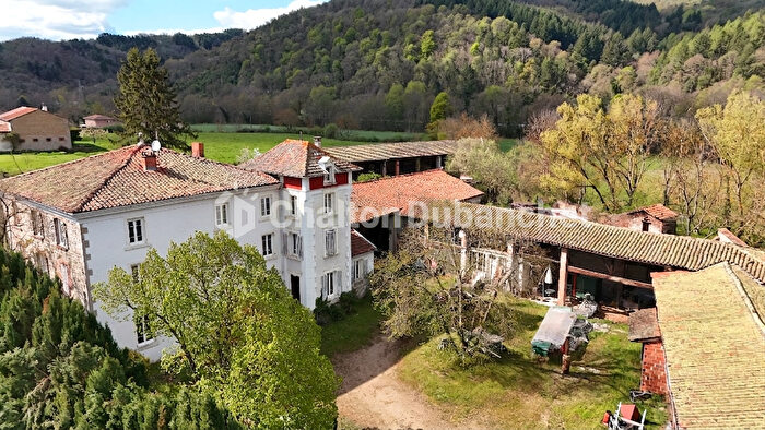 Maison à vendre - Leigneux - 10 pièces - 8 chambres