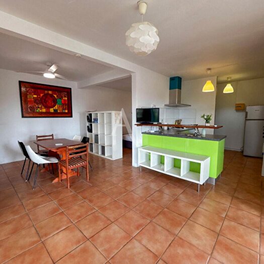 Appartement 1 pièce à Ducos, à louer