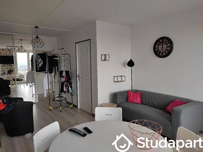 Appartement à louer - Rives du Cher, Tours - 1 pièce - 1 chambre