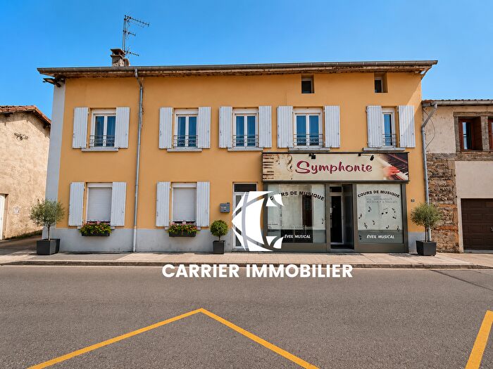 Maison 11 pièces à vendre à Miribel
