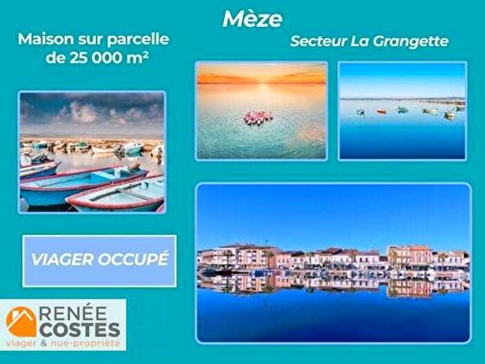 Maison à vendre - Mèze - 4 pièces - 3 chambres