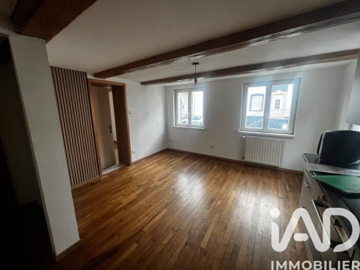 Dannemarie - Appartement 2 pièces à louer