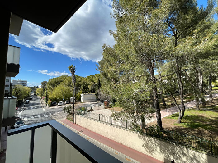 Appartement à louer - Montpellier, Aiguelongue - 1 pièce