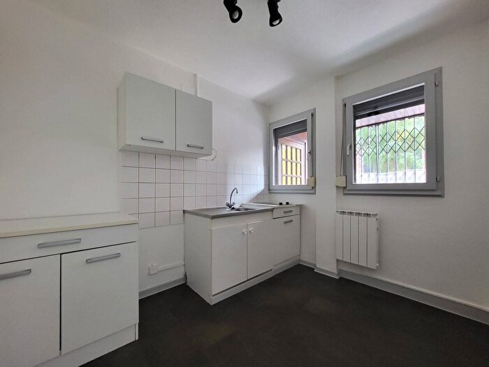 Appartement à louer - Centre Ville, Saint-Dié-des-Vosges - 1 pièce