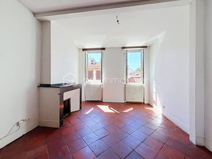 Toulouse, Busca, Jardin des plantes, Port Saint-Sauveur - Appartement 4 pièces à vendre