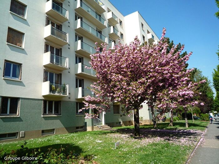 Quartiers Sud-Est, Francisco Ferrer - Appartement 1 pièce à louer