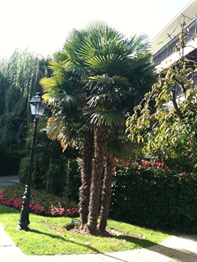 Appartement à louer - Le Chesnay-Rocquencourt - 1 pièce