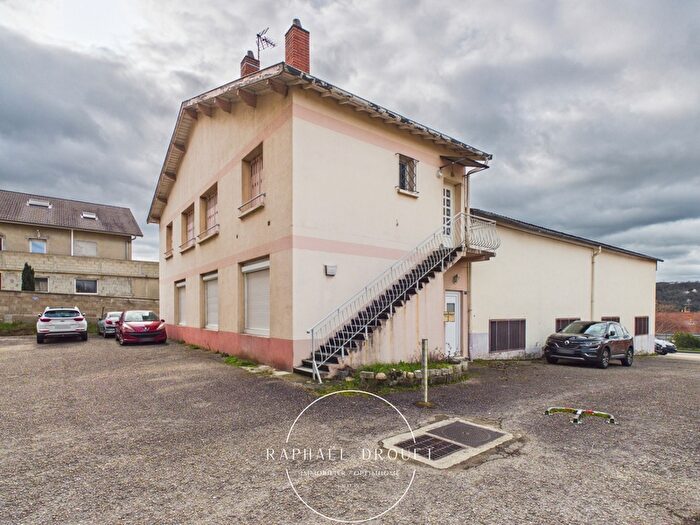 Chasse-sur-Rhône - Appartement 3 pièces à vendre