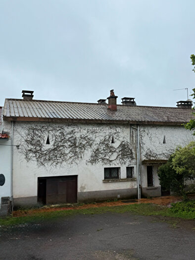 Chantraine - Maison 11 pièces à vendre