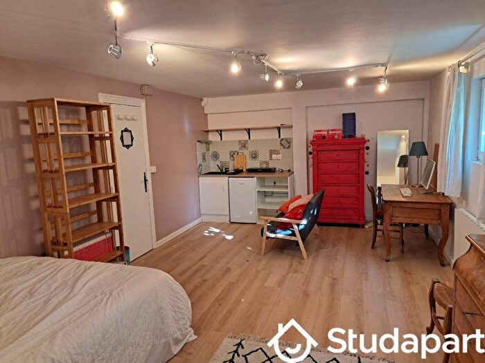 Appartement à louer - Noyer Doré-Pajeaud-Fontaine Michalon, Antony - 1 pièce - 1 chambre