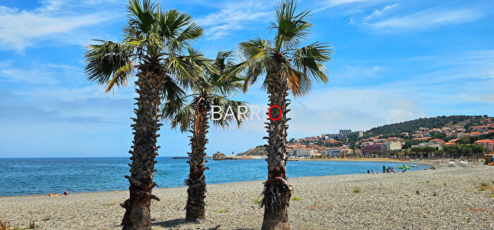 Banyuls-sur-Mer - Appartement 4 pièces à vendre