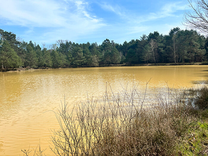 Maison à vendre - Vienne-en-Val - 6 pièces - 4 chambres