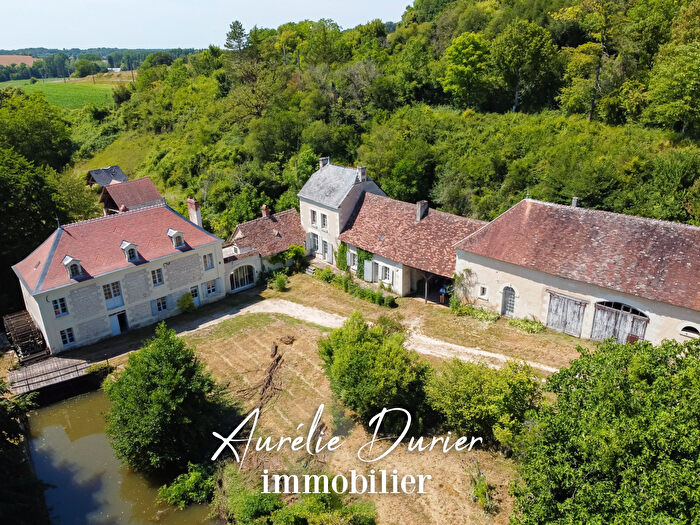 Bossay-sur-Claise - Maison 13 pièces à vendre