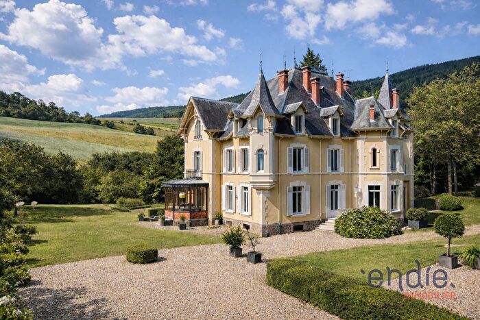 Maison à vendre - Saint-Julien-Molin-Molette - 14 pièces - 12 chambres