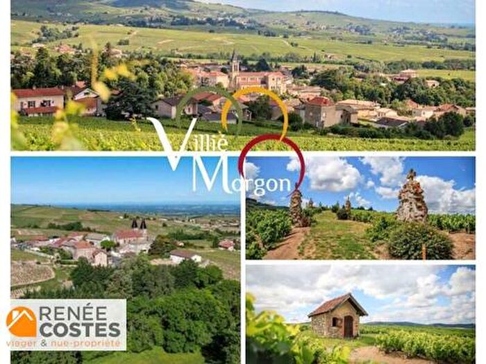 Maison à vendre - Villié-Morgon - 5 pièces - 2 chambres