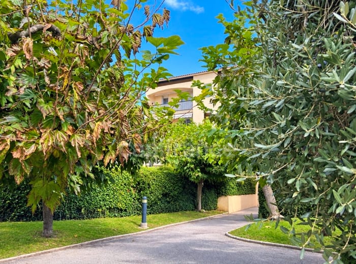 Appartement 3 pièces à vendre - Mouans-Sartoux
