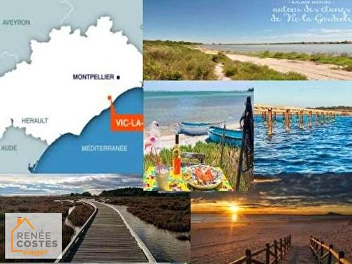 Maison à vendre - Vic-la-Gardiole - 4 pièces - 3 chambres