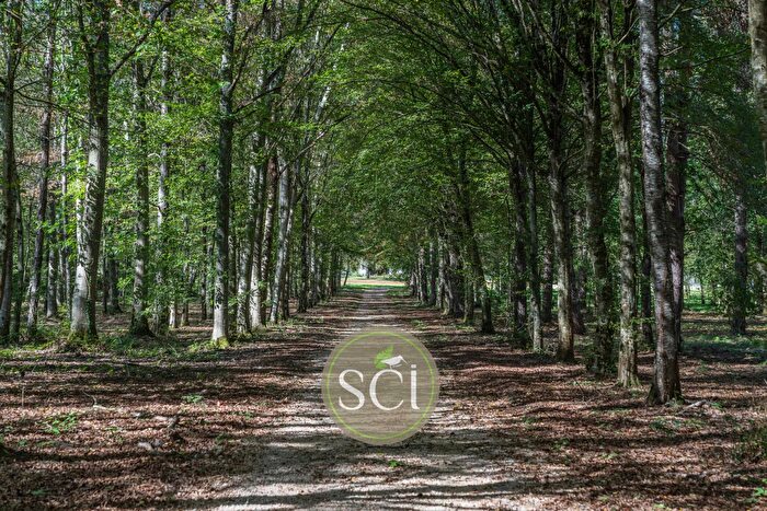 Maison à vendre - Pierrefitte-sur-Sauldre - 8 pièces - 7 chambres