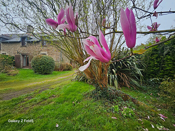 Maison à vendre - Lanvallay - 5 pièces - 4 chambres