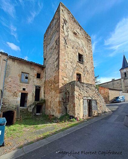 Maison à vendre - Sauvagnat-Sainte-Marthe - 10 pièces