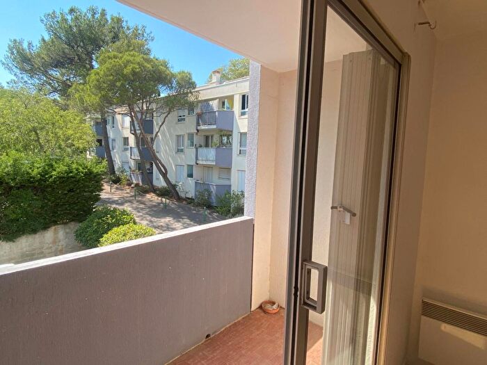 Appartement 1 pièce à louer à Montpellier, Plan des Seigneurs