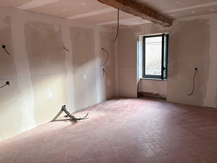 Maison à vendre - Félines-Minervois - 12 pièces - 3 chambres