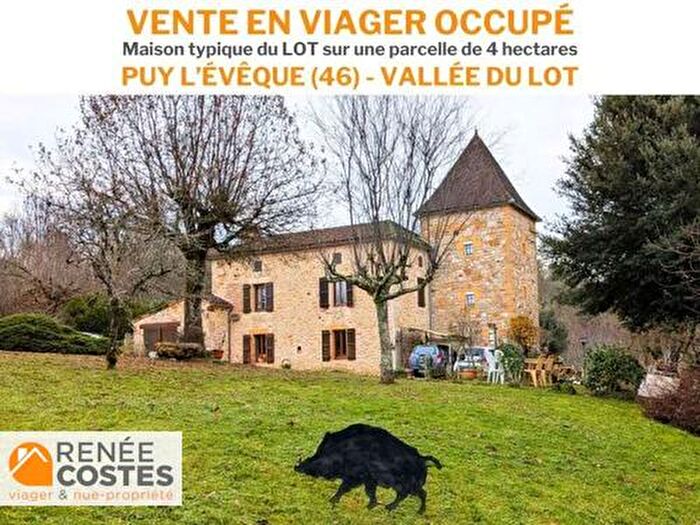 Maison à vendre - Puy-lévêque - 5 pièces - 4 chambres