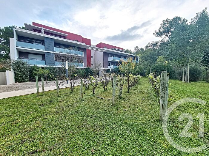 Appartement à louer - Montferrier-sur-Lez - 2 pièces - 1 chambre