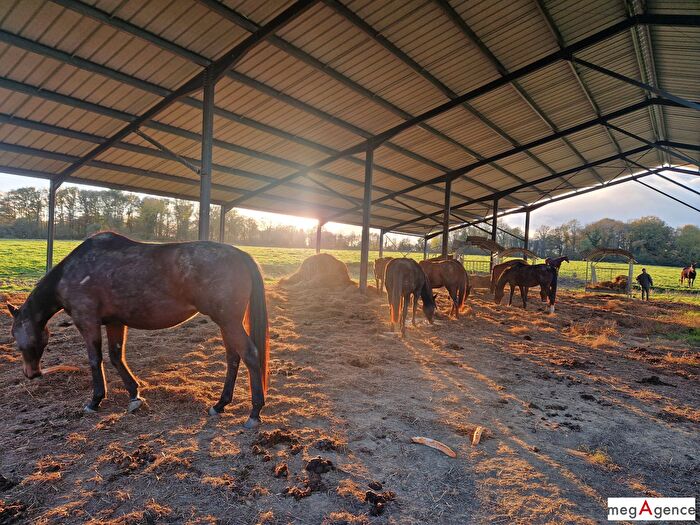 Maison à vendre - Nozay - 5 pièces - 2 chambres