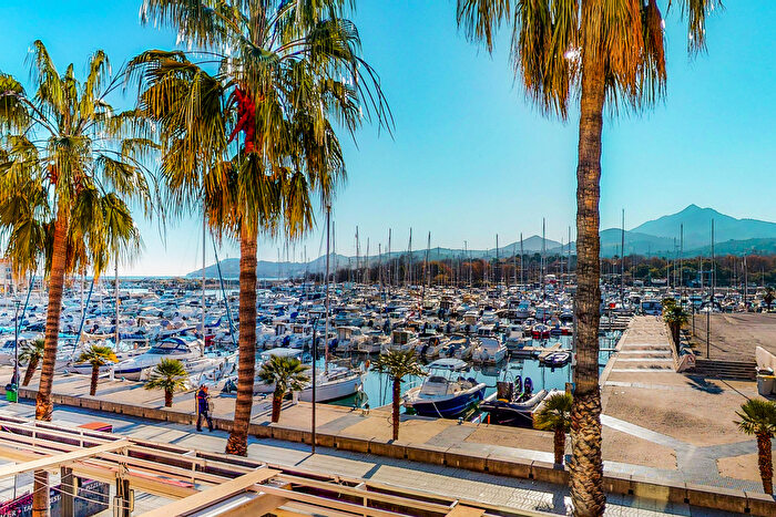 Appartement à vendre - Argelès-sur-Mer, Le Racou, Port dArgelès - 1 pièce - 1 chambre