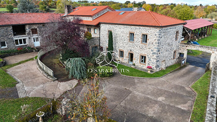 Maison à vendre - Sanssac-léglise - 13 pièces - 9 chambres