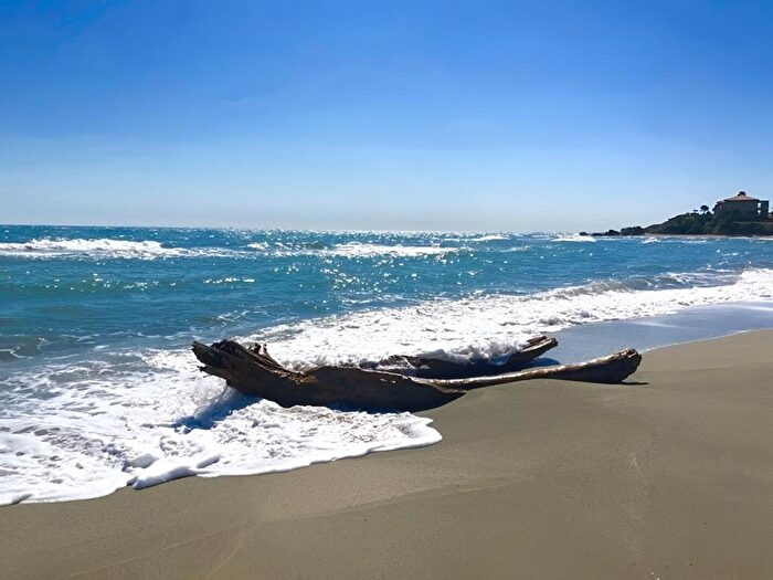 Appartement à vendre - Linguizzetta - 3 pièces - 2 chambres